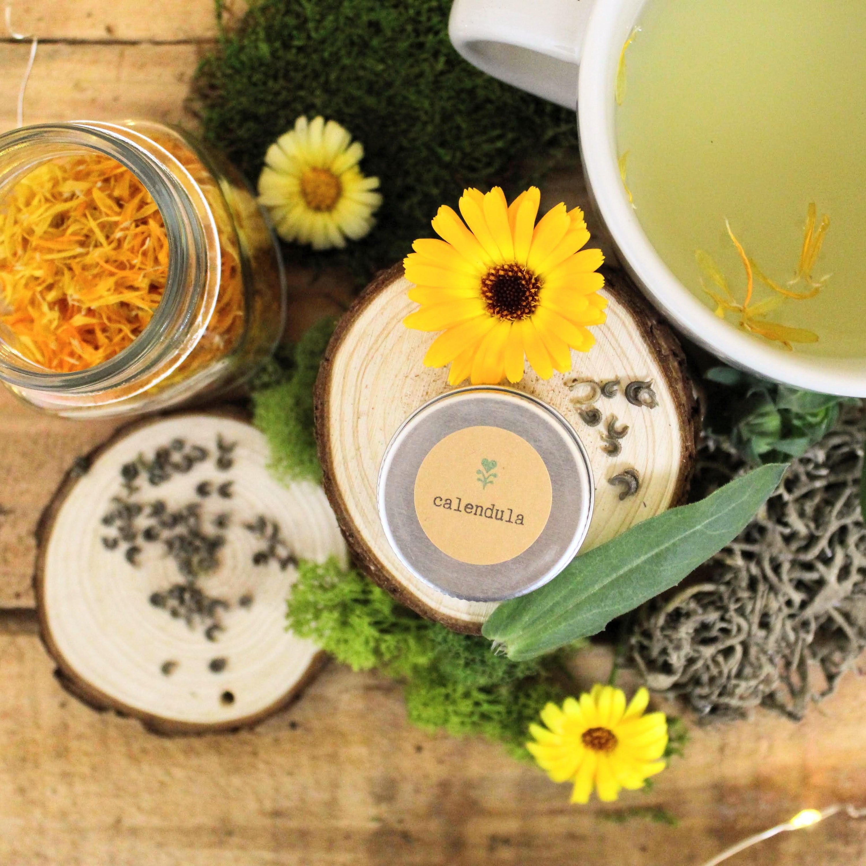 Calendula Seeds – Plantflix