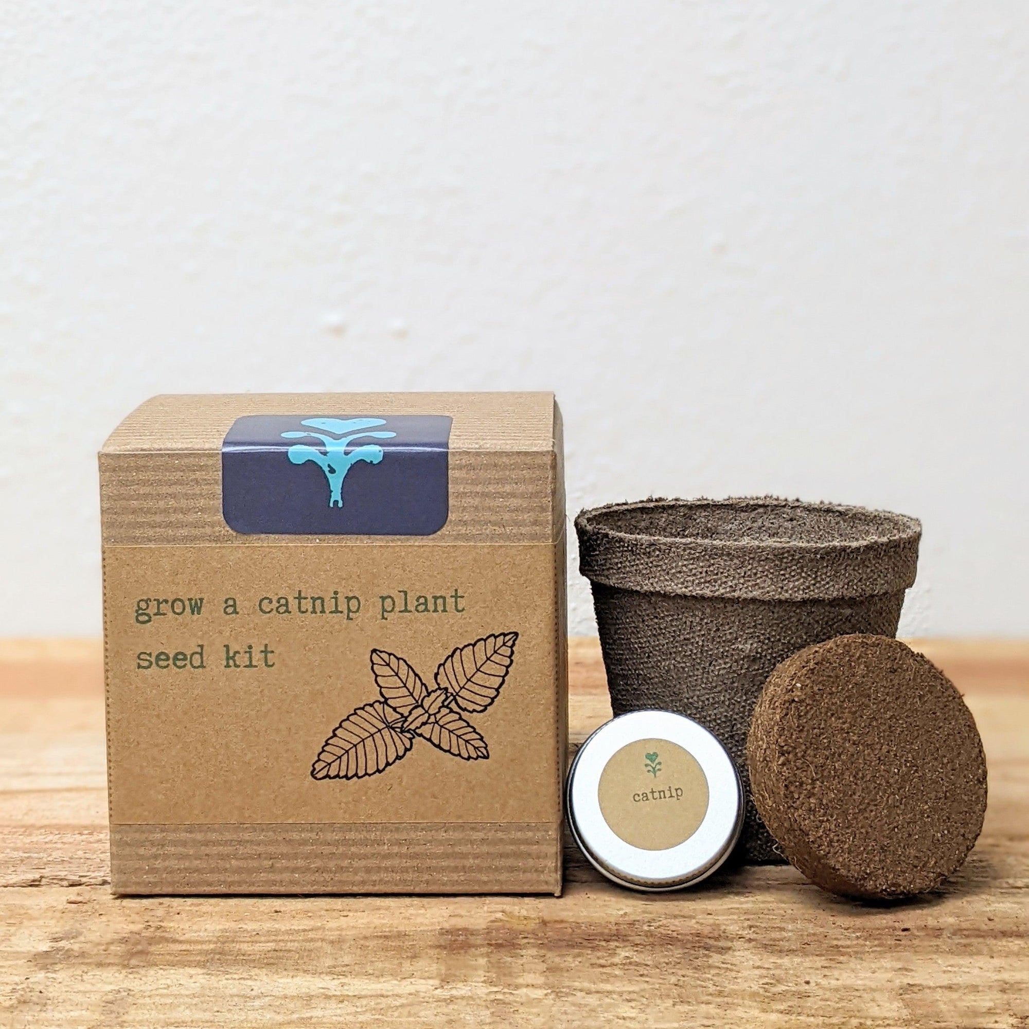 Catnip Beginner Grow Kit – Plantflix