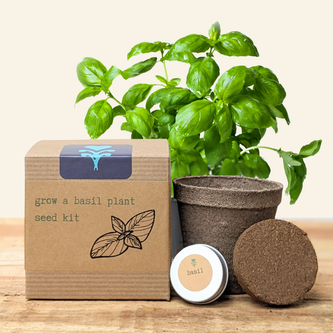 Grow a Basil Plant Seed Kit – Plantflix